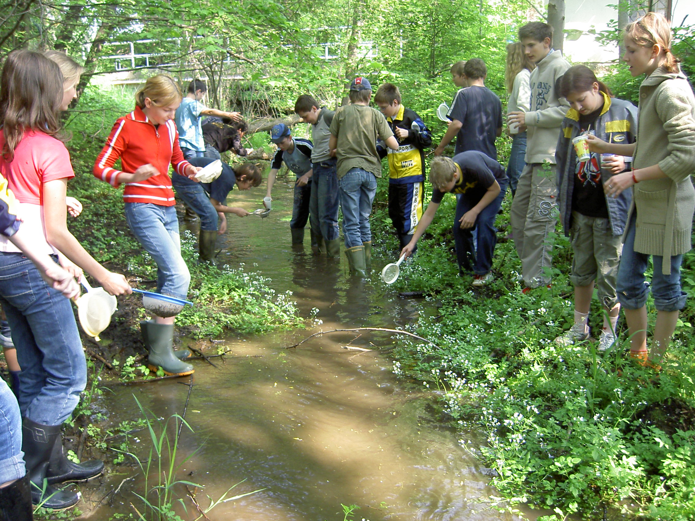 HS Bad Radkersburg - Wasserwirtschaft - Landesregierung Steiermark